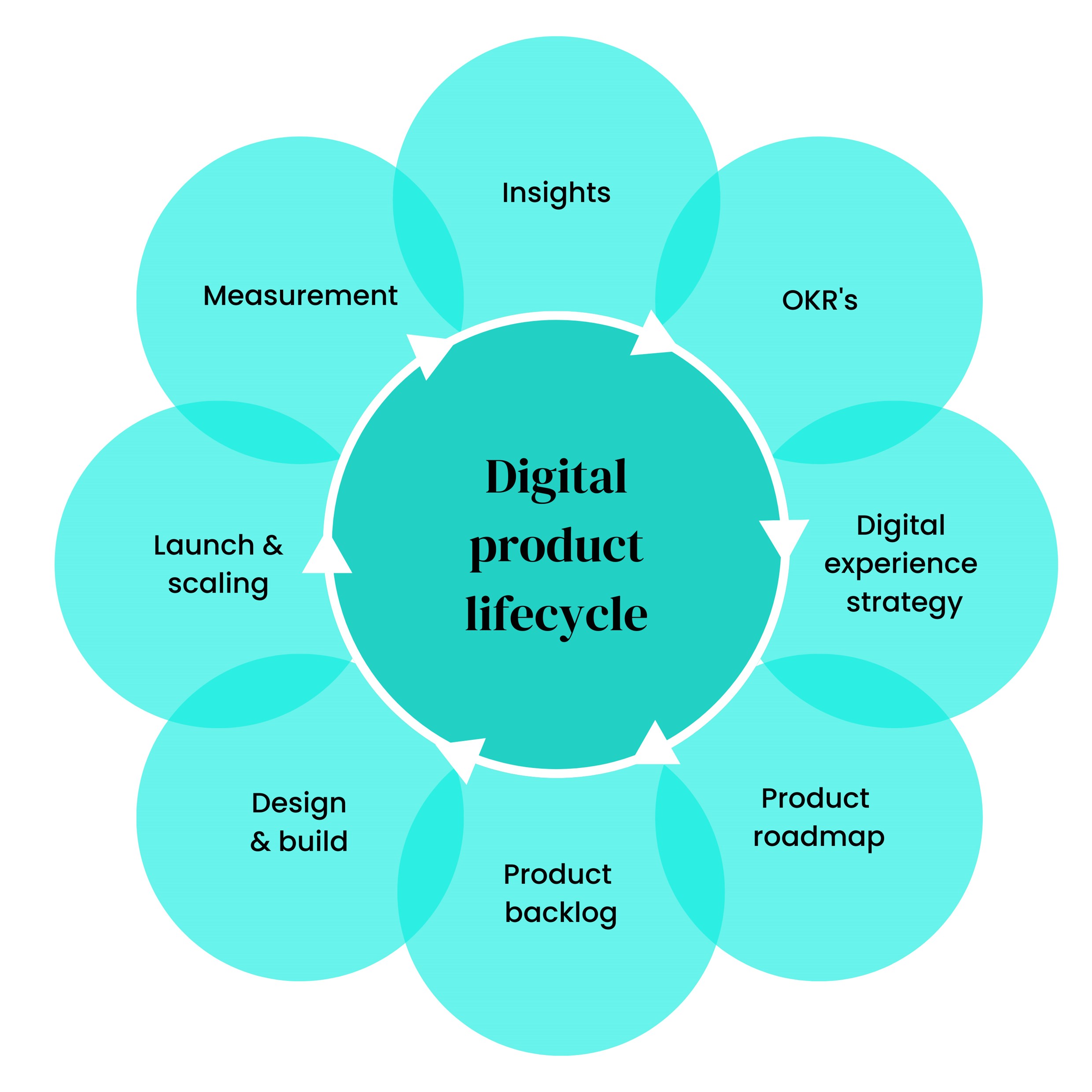 Website development