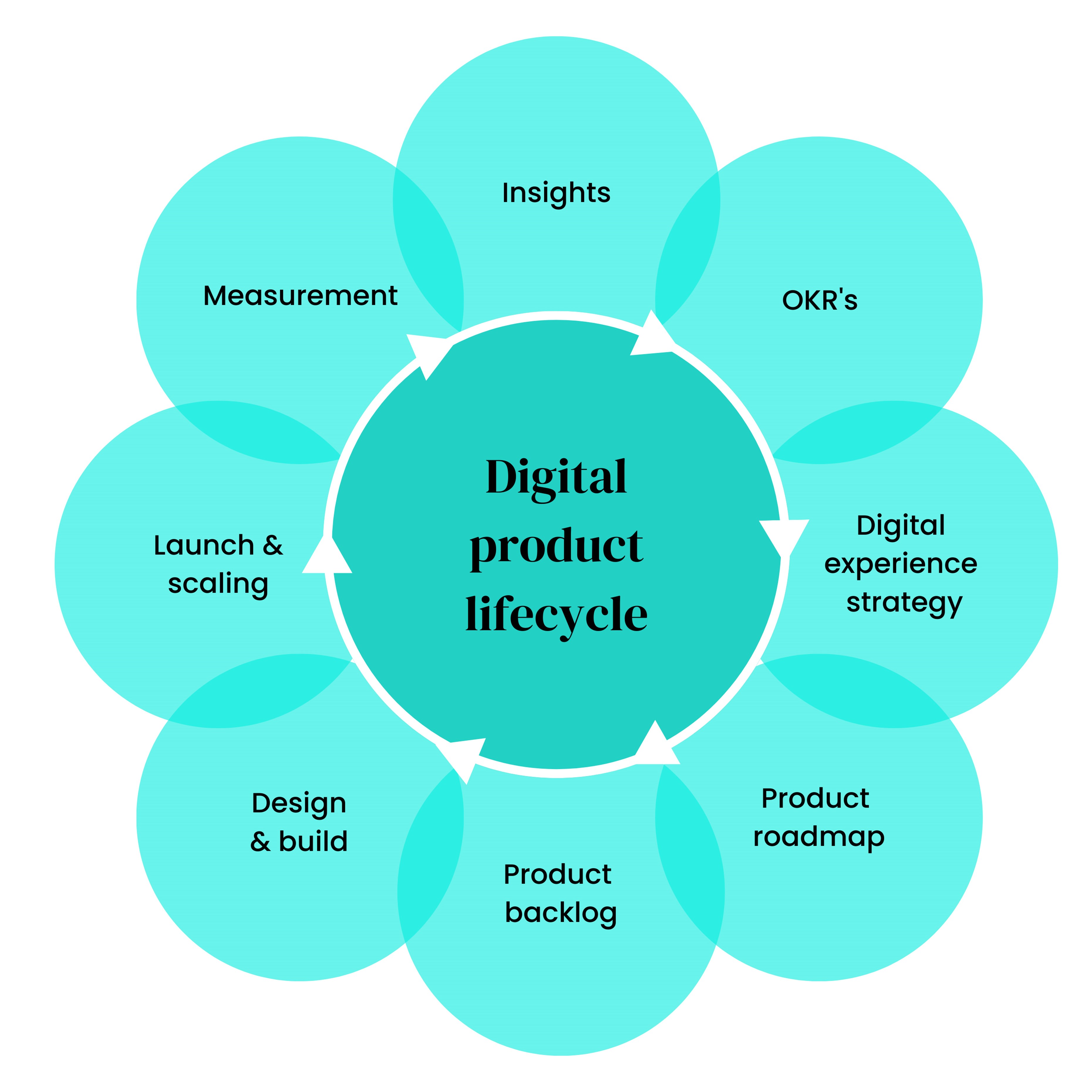Website development
